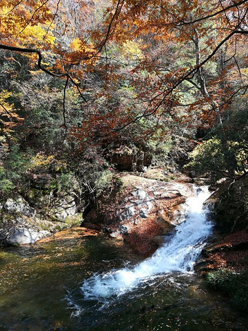 2024十八月潭景区值得一游，55元门票物超所值！但有一点今年道路修理所以绕道自驾行驶，多花了三个多小时_米仓山国家森林公园-评论-去哪儿攻略