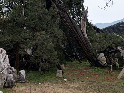 2025光福景区-旅游攻略-门票-地址-问答-游记点评，苏州旅游旅游景点推荐-去哪儿攻略