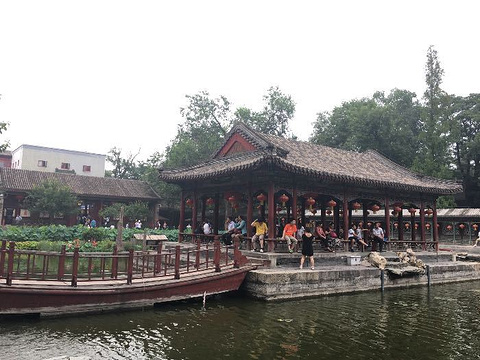 2024荷花市场-旅游攻略-门票-地址-问答-游记点评，北京旅游旅游景点推荐-去哪儿攻略