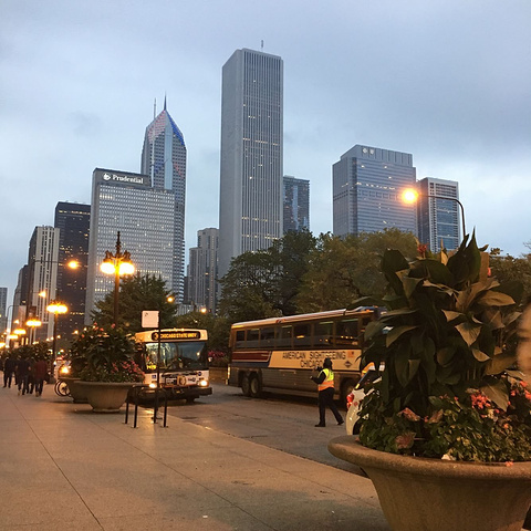 2024_芝加哥艺术博物馆-评论-去哪儿攻略