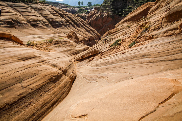 2024波浪谷大体分三个区域，最美的数一线天景点，在闫家寨从山上走下去，一路景色特别迷人。门票：暂免收门票_波浪谷-评论-去哪儿攻略