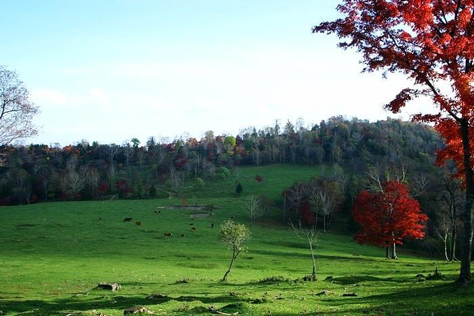 白山5日游-白山旅游攻略-游记-去哪儿攻略