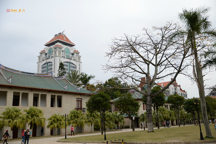 2022厦门大学游玩攻略,厦门大学防空洞（芙蓉隧道）...【去哪儿攻略】