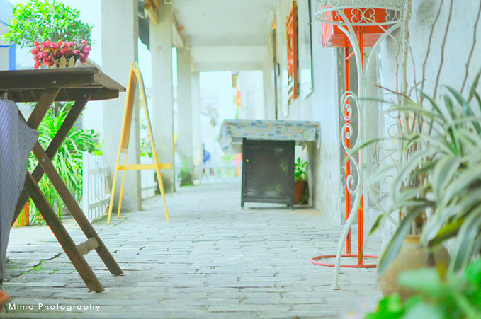 周末札记：深圳的小文艺-深圳旅游攻略-游记-去哪儿攻略