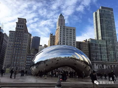 2018云门_旅游攻略_门票_地址_游记点评,芝加哥旅游景点推荐 - 去哪儿攻略社区