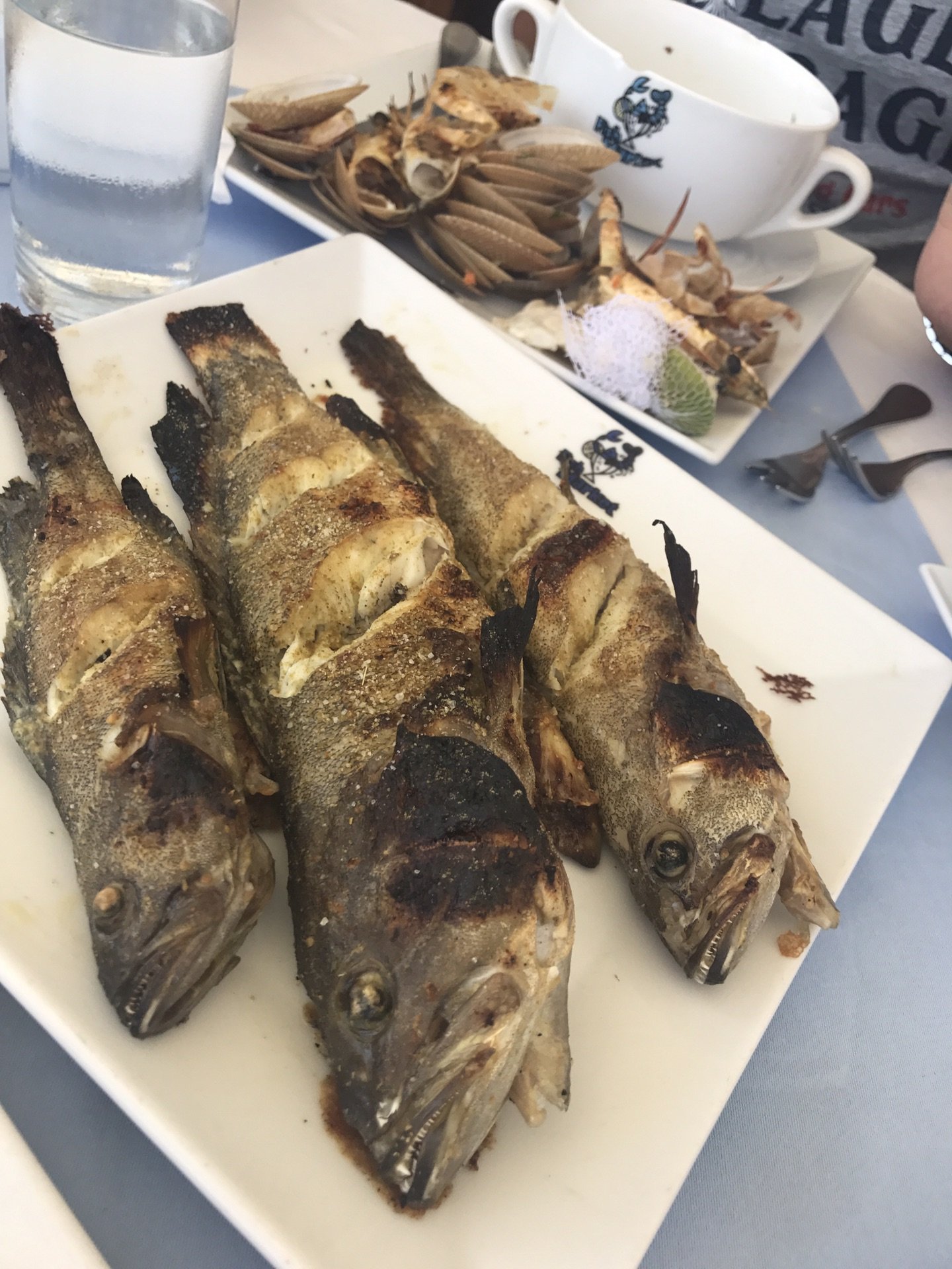 2024Fish Market美食餐厅,中午时间到啦……小马哥带我...【去哪儿攻略】