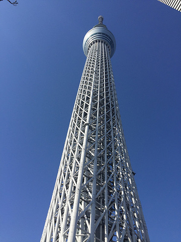 2023东京天空树让我这个恐高症患者头晕目眩，坐着观光电梯上31楼的时候忍不住一直往后退_东京晴空塔-评论-去哪儿攻略