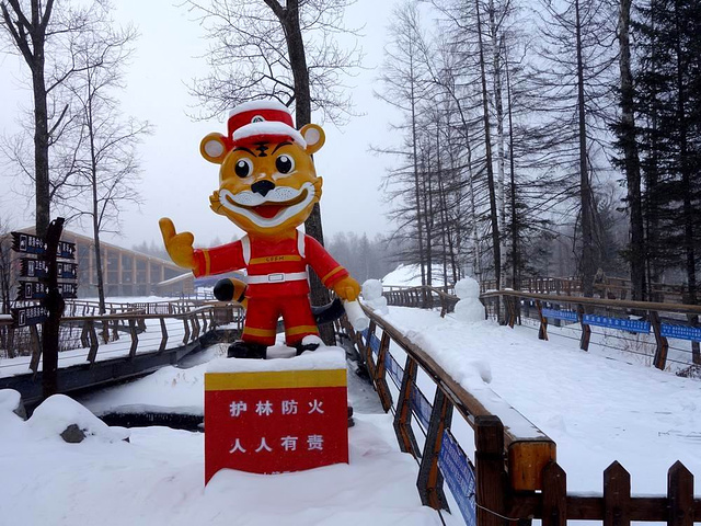 2024长白山，海拔2691米，为中国东北第一高峰。长白山是中国十大名山之一，被誉为“神山圣水”_长白山景区-评论-去哪儿攻略