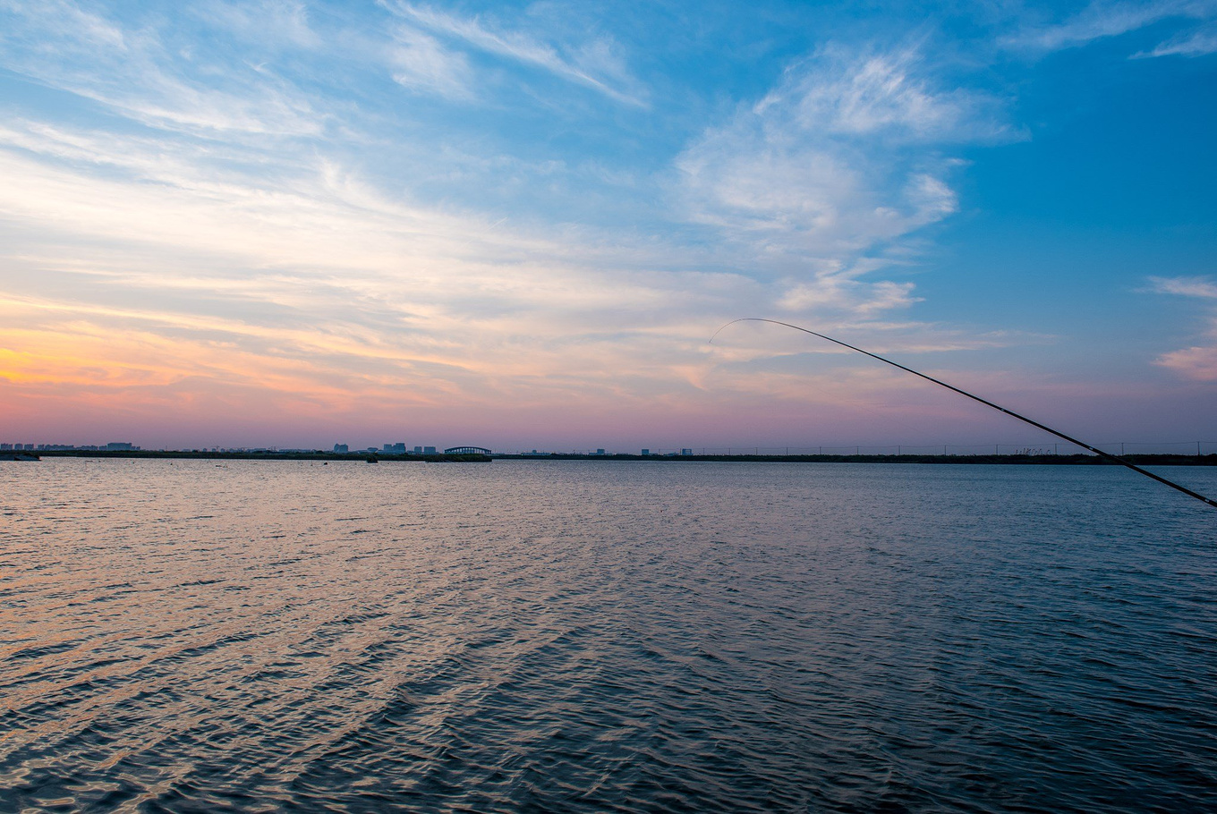 ShanghaiING 暴走的人儿，停不下来-上海旅游攻略-游记-去哪儿攻略
