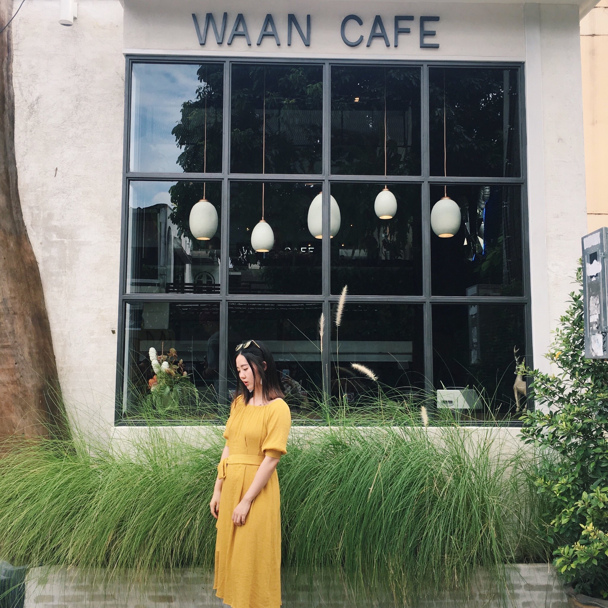 2023Waan Cafe Nimman美食餐厅,waan cafe树门好有特色，凳子...【去哪儿攻略】