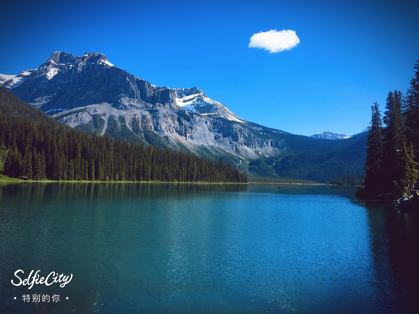 加拿大温哥华、落基山脉16日游-美景在路上-班夫国家公园旅游攻略-游记-去哪儿攻略