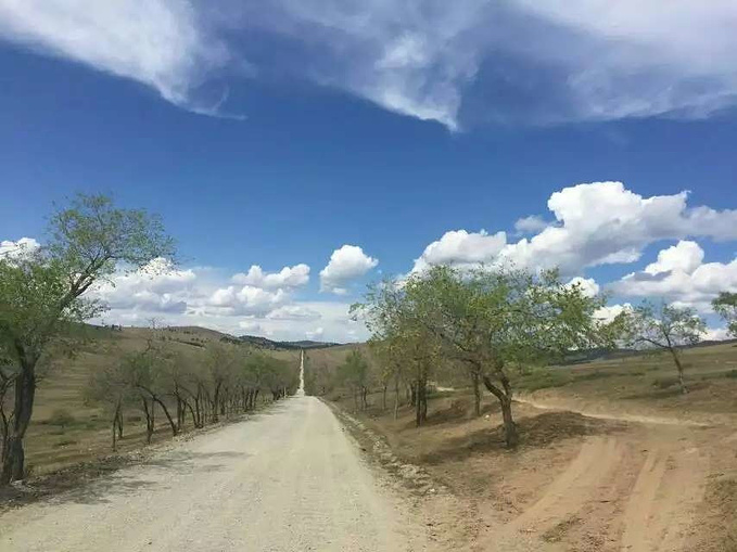 独特的异国风情——蒙古国-银川旅游攻略-游记-去哪儿攻略