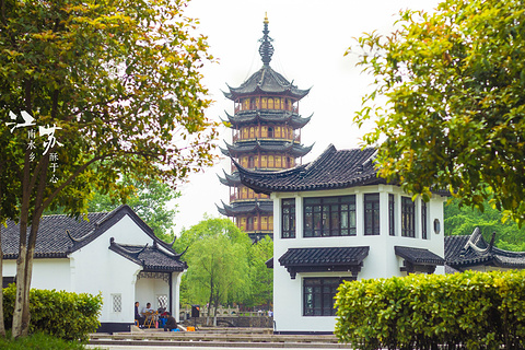 2018红梅公园 旅游攻略 门票 地址 游记点评 常州旅游景点推荐 去哪儿攻略社区