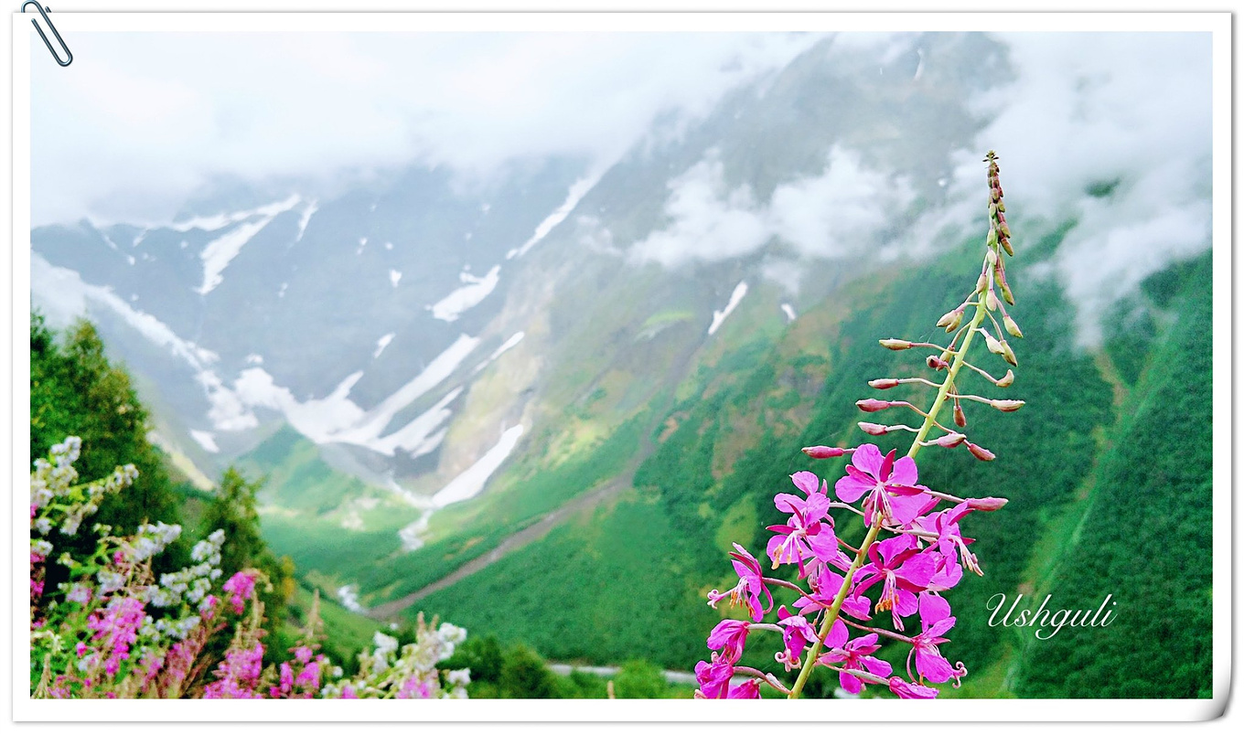 陪你旅行 格鲁吉亚，一个来了就想留下的国家-第比利斯旅游攻略-游记-去哪儿攻略