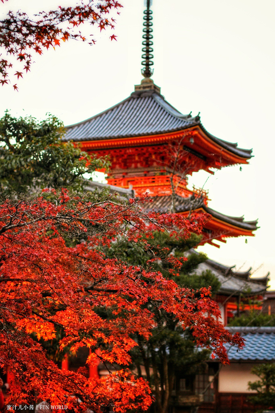 秋の霓虹枫叶季，东瀛红叶狩【蜜汁儿小酱Fun世界】京都赏枫· 附拍照Tips-京都旅游攻略-游记-去哪儿攻略