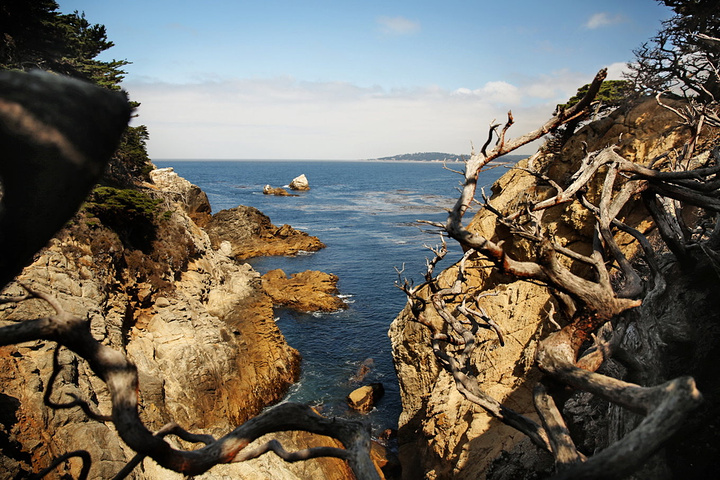 2022洛博斯角州立保护区游玩攻略,POINT LOBOS (洛博斯角）是个...【去哪儿攻略】