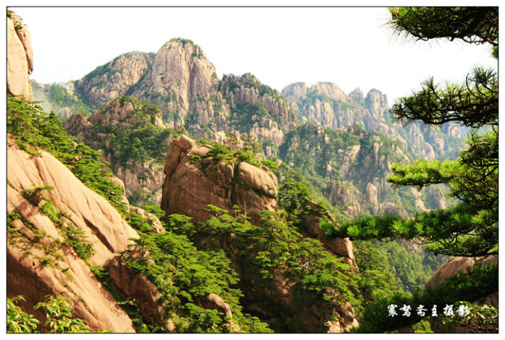 2024一路欣赏着奇松怪石,不知不觉间就来到了黄山前山最著名的景点:迎客松迎客松 评论 去哪儿攻略