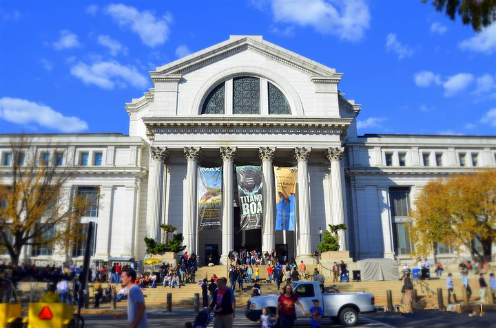 2023史密森博物馆游玩攻略,...许多主题展厅，各种恐龙和...【去哪儿攻略】