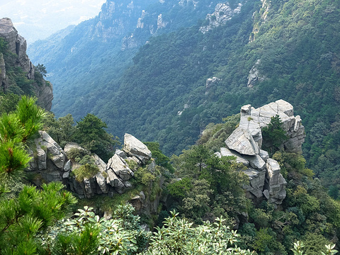 2022锦绣谷-旅游攻略-门票-地址-问答-游记点评，庐山市旅游旅游景点推荐-去哪儿攻略