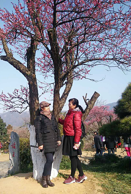 南京2日游-南京旅游攻略-游记-去哪儿攻略