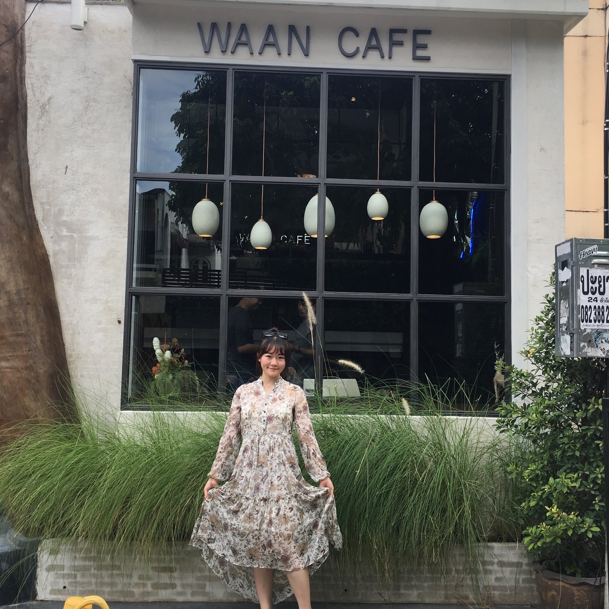 2023Waan Cafe Nimman美食餐厅,waan cafe树门好有特色，凳子...【去哪儿攻略】