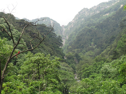 2021十八盘-旅游攻略-门票-地址-问答-游记点评，泰山旅游旅游景点推荐-去哪儿攻略