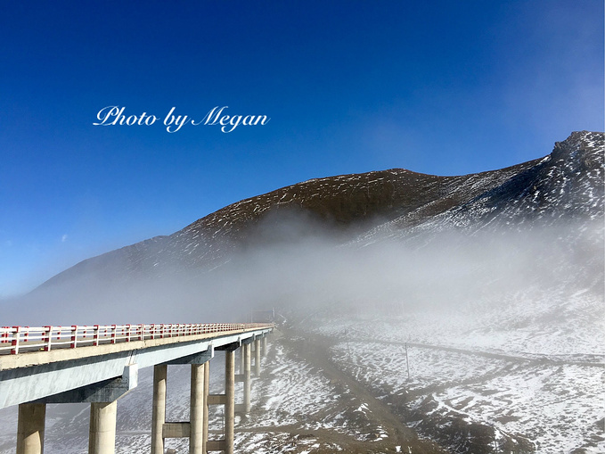 2016去额济纳旗寻找守望三千年的胡杨林-额济纳旗旅游攻略-游记-去哪儿攻略