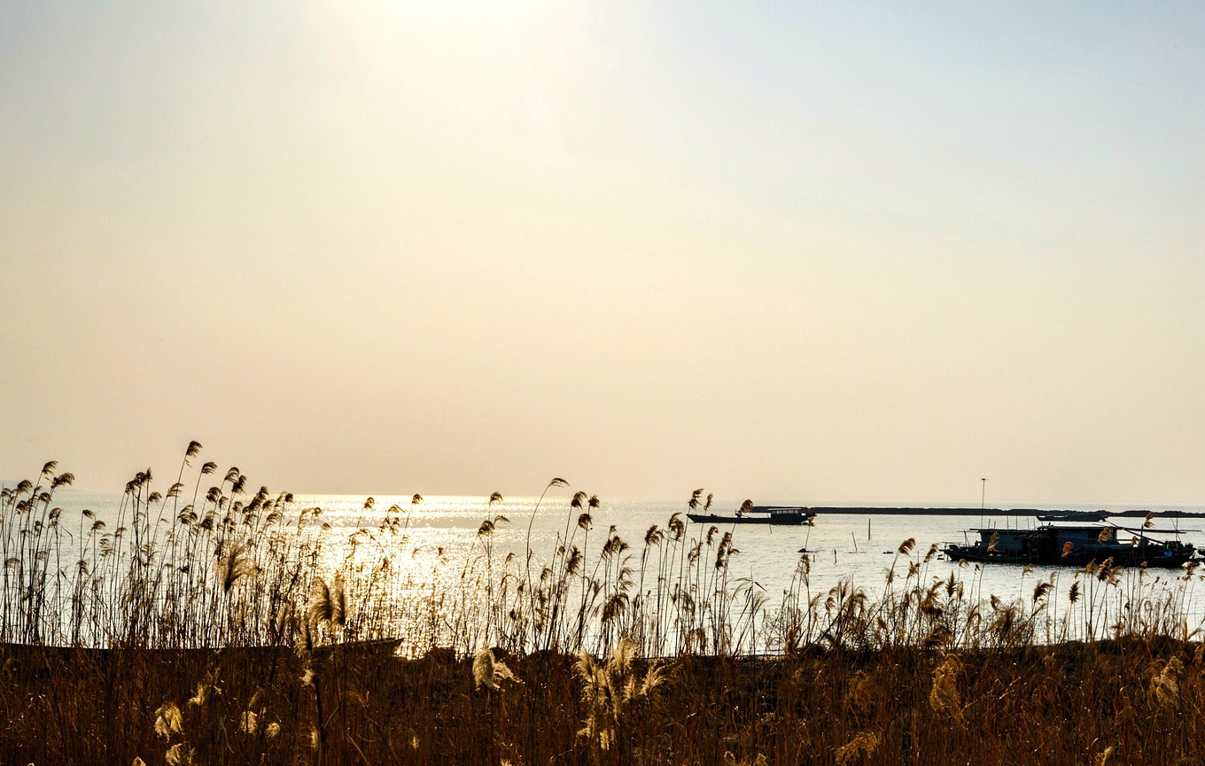 许你一场花事，去北太湖撩一个春天-苏州旅游攻略-游记-去哪儿攻略