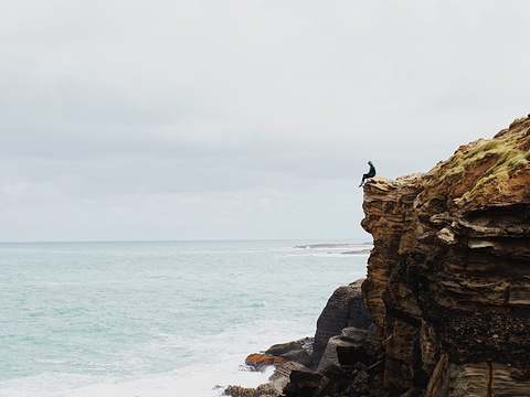 2024slope point-旅游攻略-门票-地址-问答-游记点评，但尼丁旅游旅游景点推荐-去哪儿攻略
