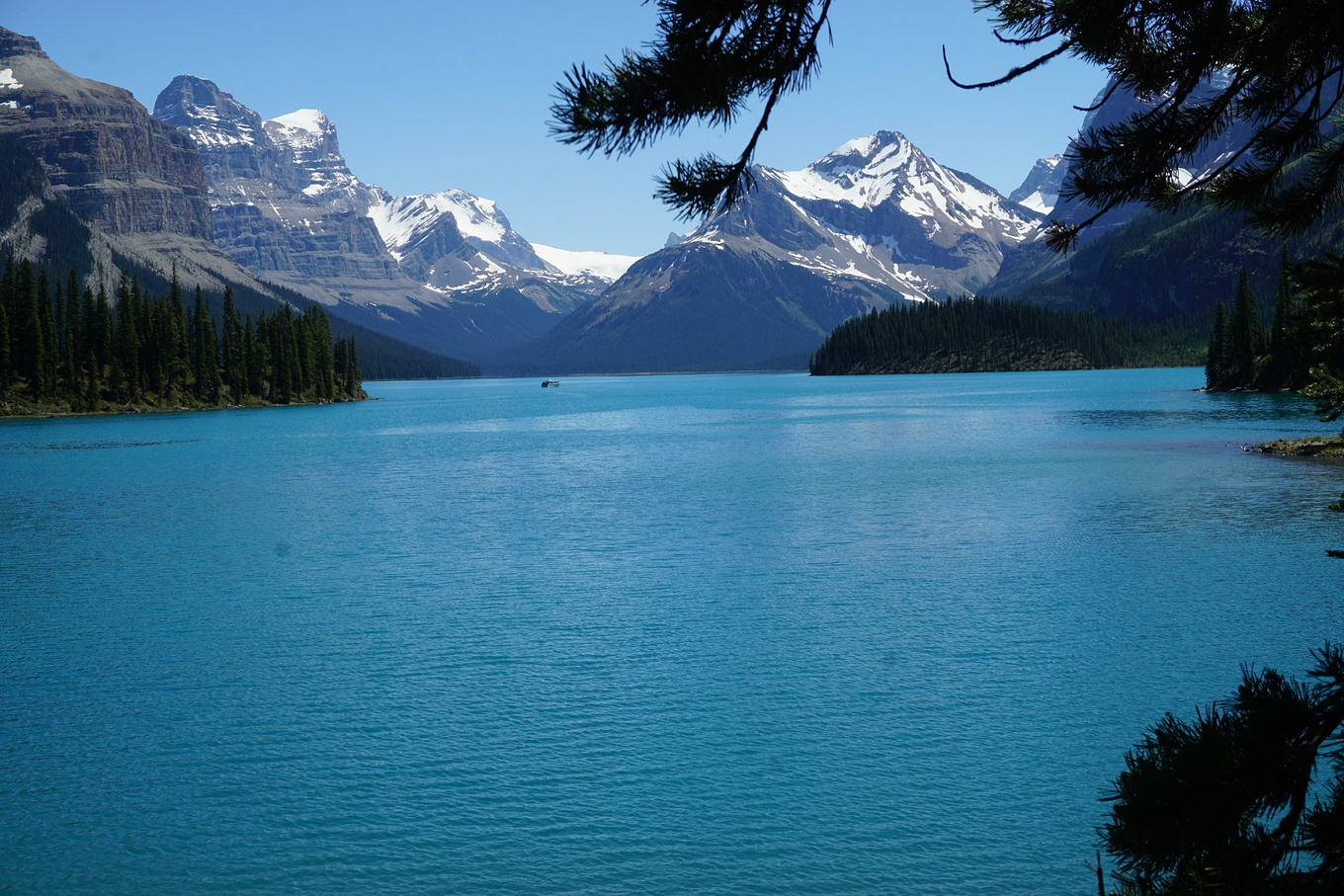 加拿大温哥华、落基山脉16日游-美景在路上-班夫国家公园旅游攻略-游记-去哪儿攻略