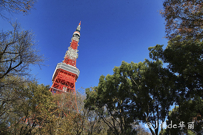 浓厚的节日气氛，不愧为购物天堂-东京旅游攻略-游记-去哪儿攻略