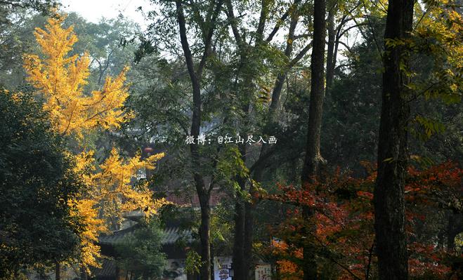 秋日栖霞山:访古刹，赏秋叶赏人情-南京旅游攻略-游记-去哪儿攻略