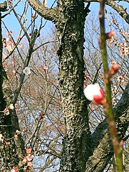 南京2日游-南京旅游攻略-游记-去哪儿攻略