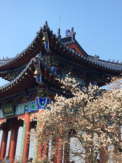 南京2日游-南京旅游攻略-游记-去哪儿攻略