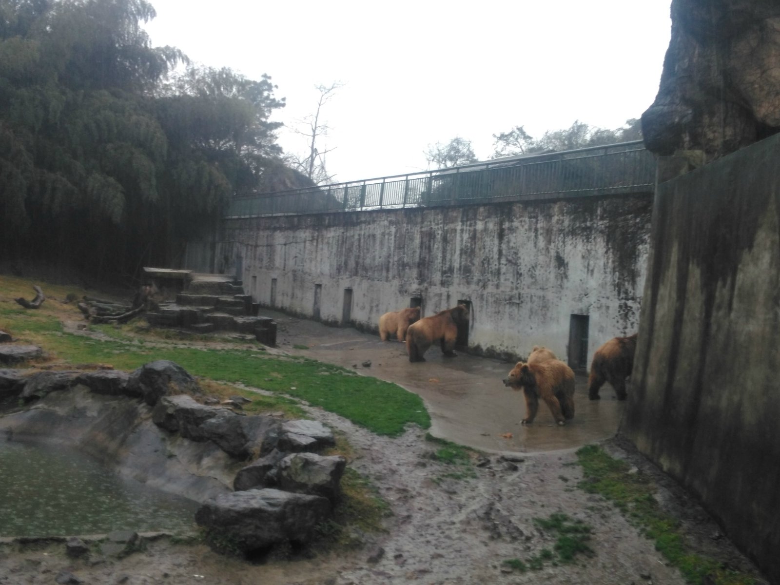 2025宁波野生动物园游玩攻略,一者这是宁波唯一一家动物园...【去哪儿攻略】