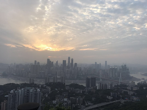 2017南山一棵树观景台_旅游攻略_门票_地址_游记点评,重庆旅游景点推荐 - 去哪儿攻略社区
