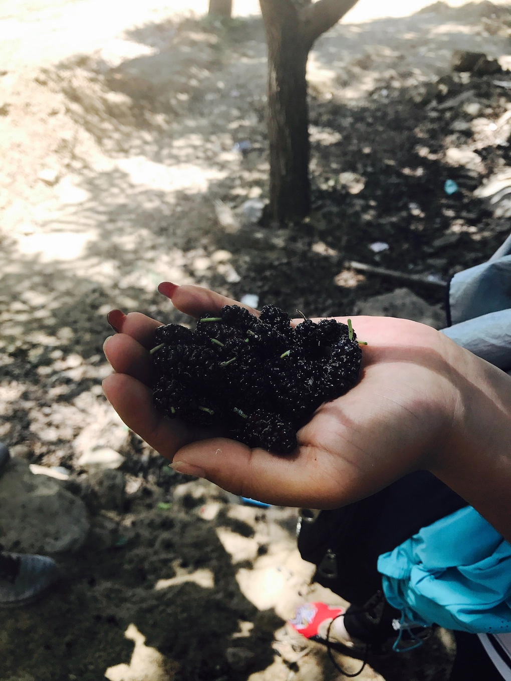 【大小木的行摄之旅】2017端午碛口古镇&靖边波浪谷三日游-靖边旅游攻略-游记-去哪儿攻略