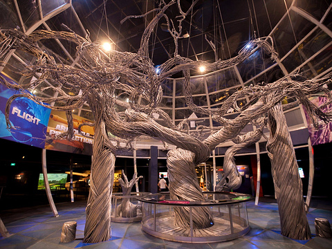 2024新加坡科学中心-旅游攻略-门票-地址-问答-游记点评，新加坡旅游旅游景点推荐-去哪儿攻略