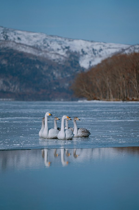 北海道道东转一圈，宛如在神仙的世界里旅了个游-旅游攻略-游记-去哪儿攻略