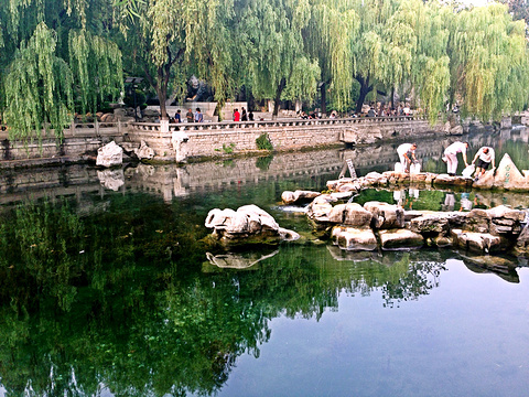 2022黑虎泉-旅游攻略-门票-地址-问答-游记点评，济南旅游旅游景点推荐-去哪儿攻略