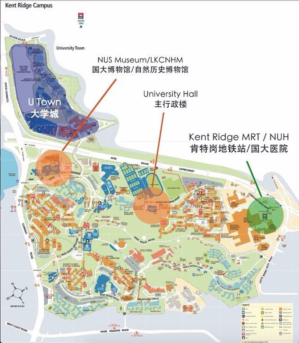 新加坡两所名校一日游-新加坡旅游攻略-游记-去哪儿攻略