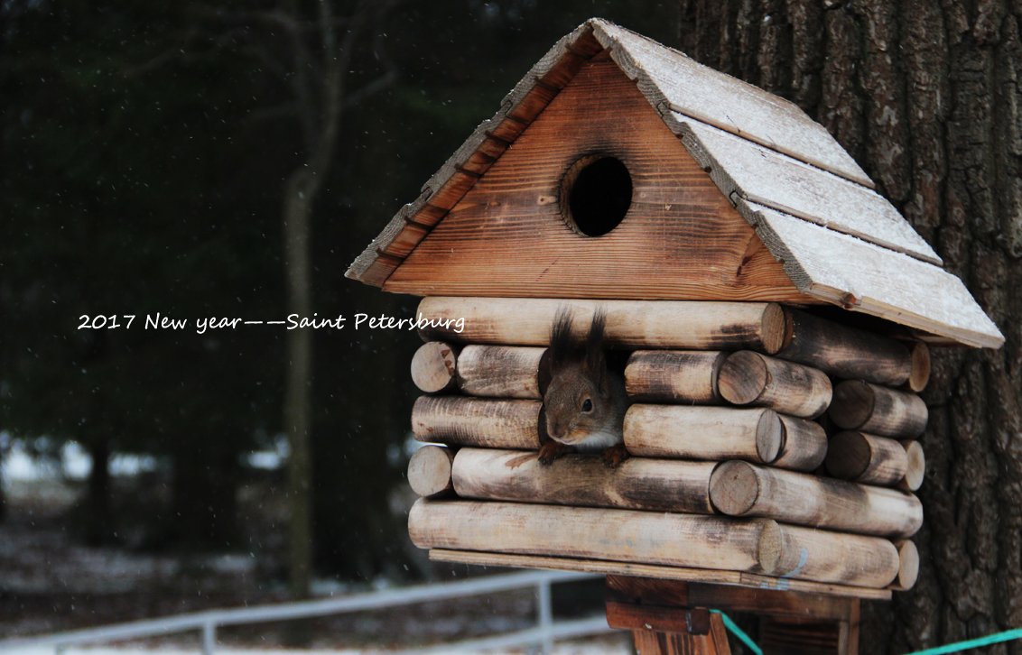 2024彼得霍夫宫游玩攻略,夏宫和叶卡捷琳娜宫相较于市...【去哪儿攻略】