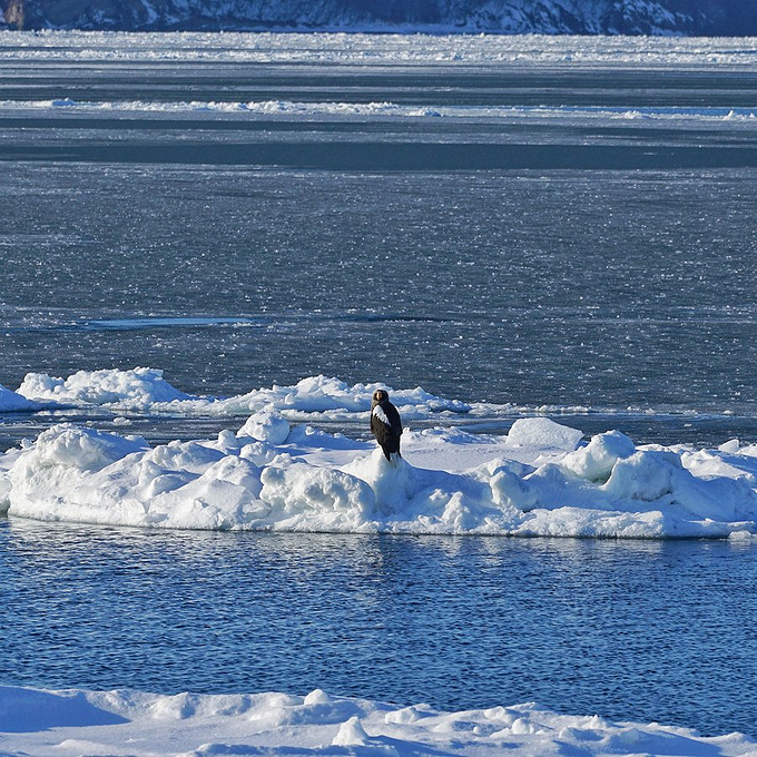 北海道道东转一圈，宛如在神仙的世界里旅了个游-旅游攻略-游记-去哪儿攻略