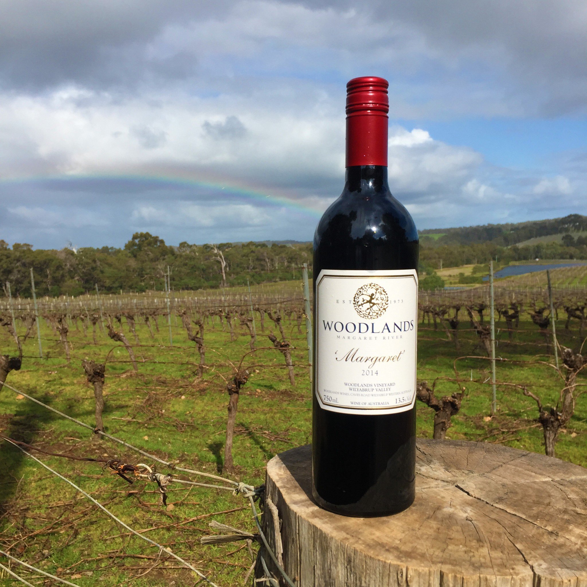 Wine Not ? | 酒庄玩乐吃喝指南-旅游攻略-游记-去哪儿攻略