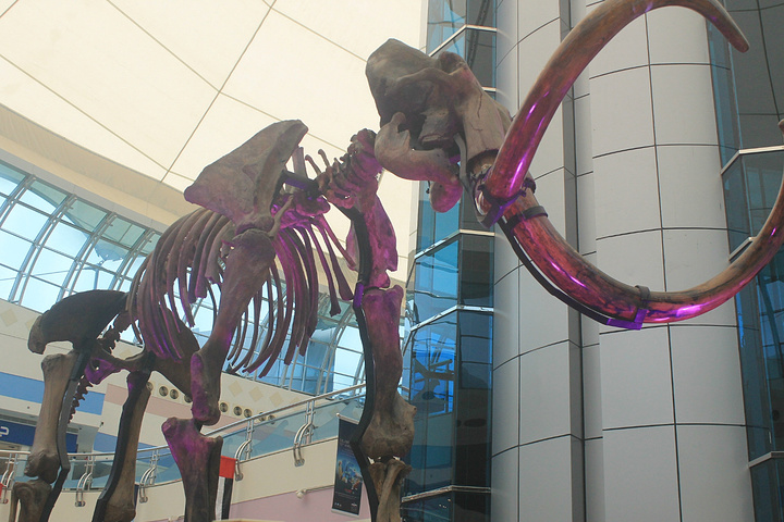 2024...很亮眼，游客纷纷在这里拍照留念，marina mall的商品很齐全，但是价格不是很好，比较一般_海滨购物中心-评论-去哪儿攻略