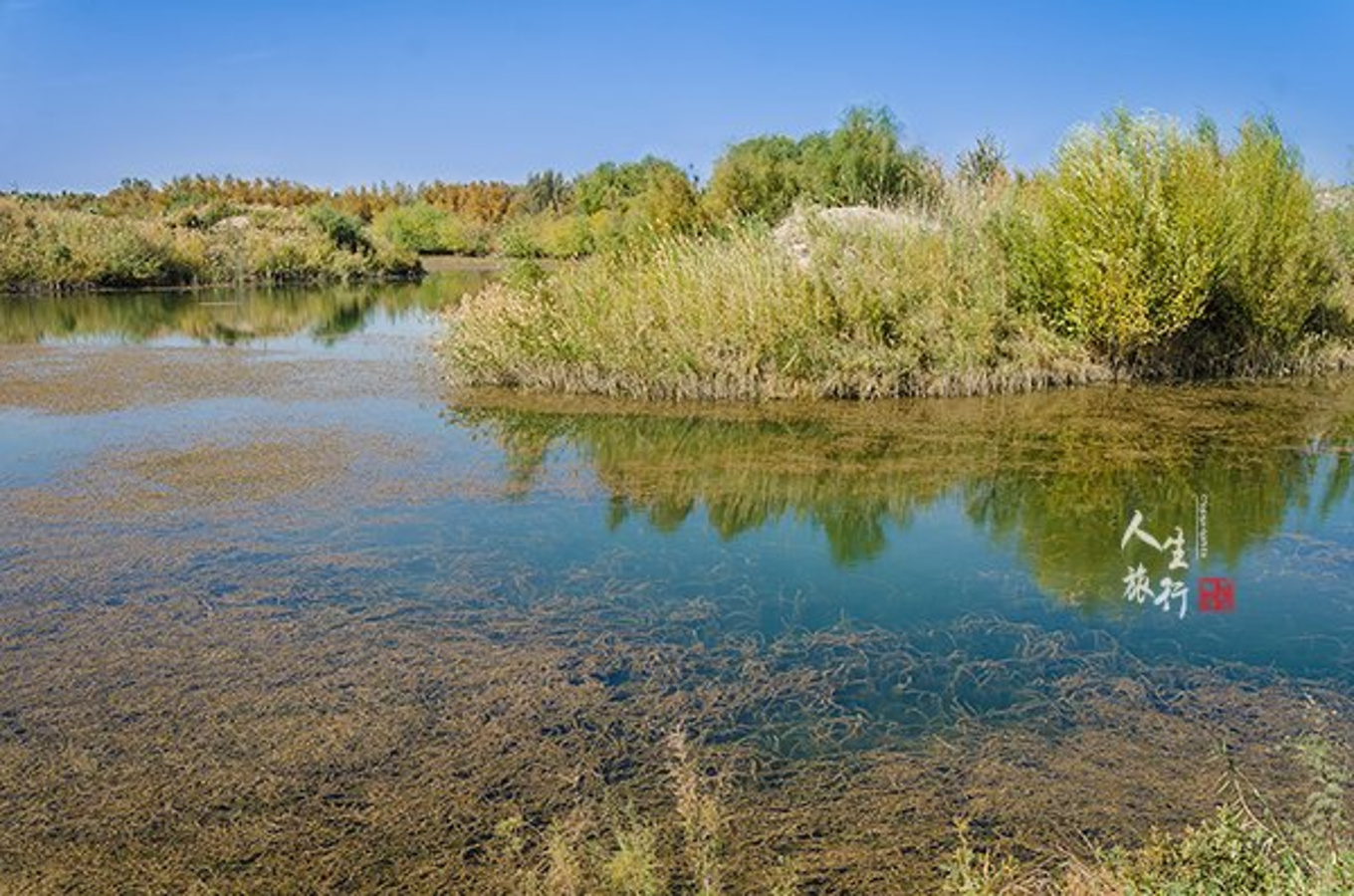 异域喀什浮光掠影——2014国庆-喀什旅游攻略-游记-去哪儿攻略