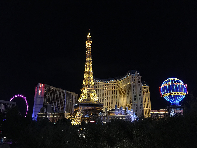 2024不同主题的酒店。_贝拉吉奥度假村(Bellagio)-评论-去哪儿攻略