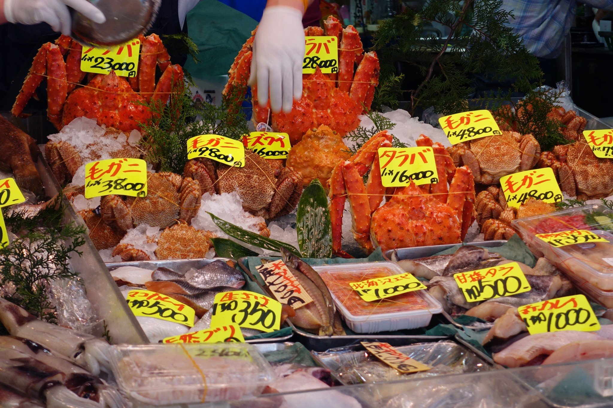 2023筑地场外市场购物,50RMB一包，价格不便宜，但小...【去哪儿攻略】