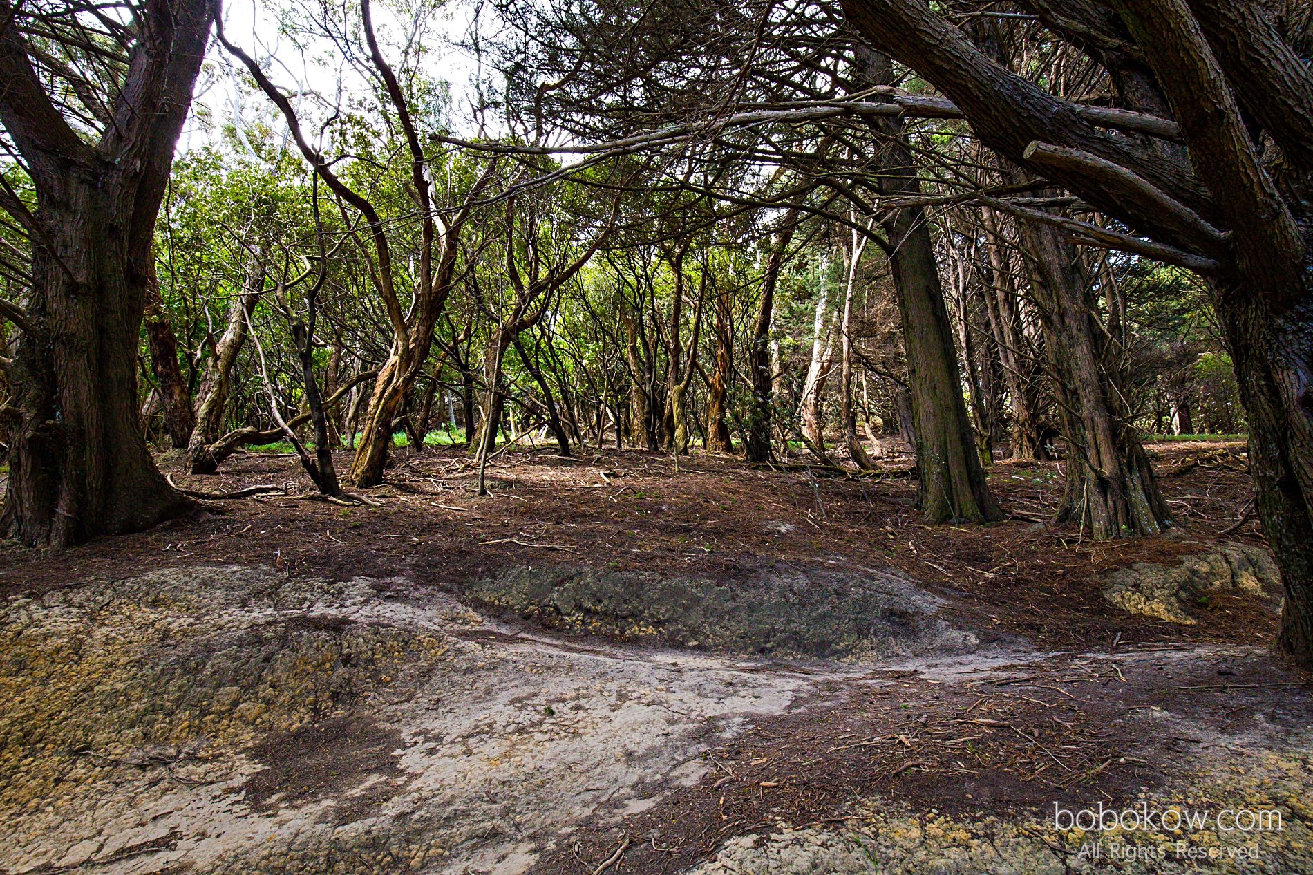 2025维多利亚山游玩攻略,Hobbit’s hideaway Track 非...【去哪儿攻略】