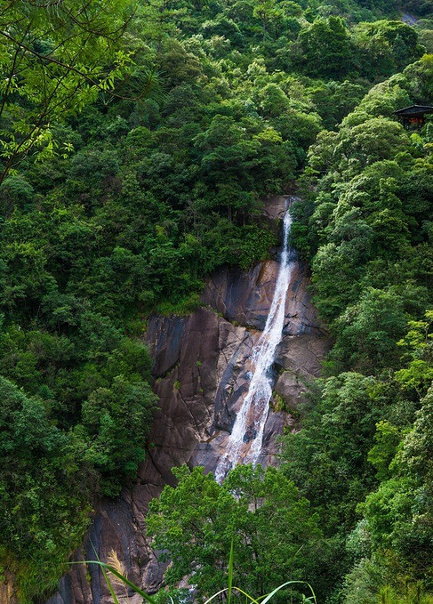 不晒太阳晒清凉——武夷山自驾之旅-武夷山旅游攻略-游记-去哪儿攻略